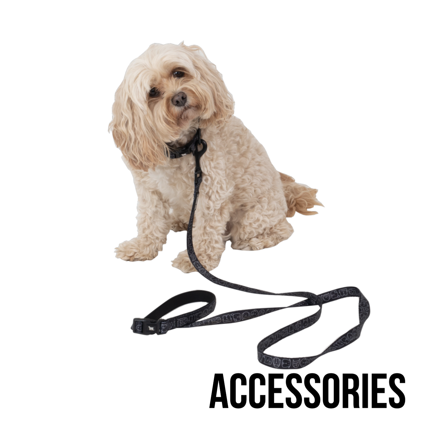 La Doggie Vita | Australia's best dog and cat beds, pet blankets, toys